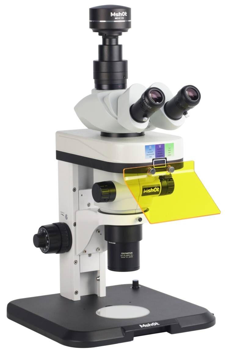 Stereo LED fluorescence module MZX-LED - Fluorescence and Biological ...