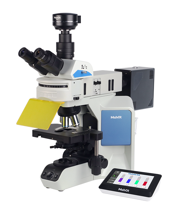 Home - Fluorescence and Biological microscopes | MSHOT