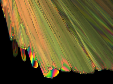 MSHOT ML31-P simple polarizing microscope: a reliable partner for ...