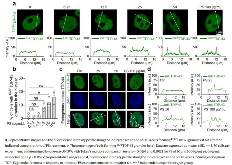 More than imageJ: How to quickly realize radial fluorescence intensity ...