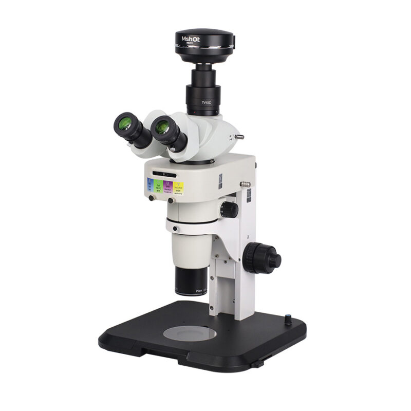 Stereo-fluorescence microscope MZX100 - Fluorescence and Biological ...