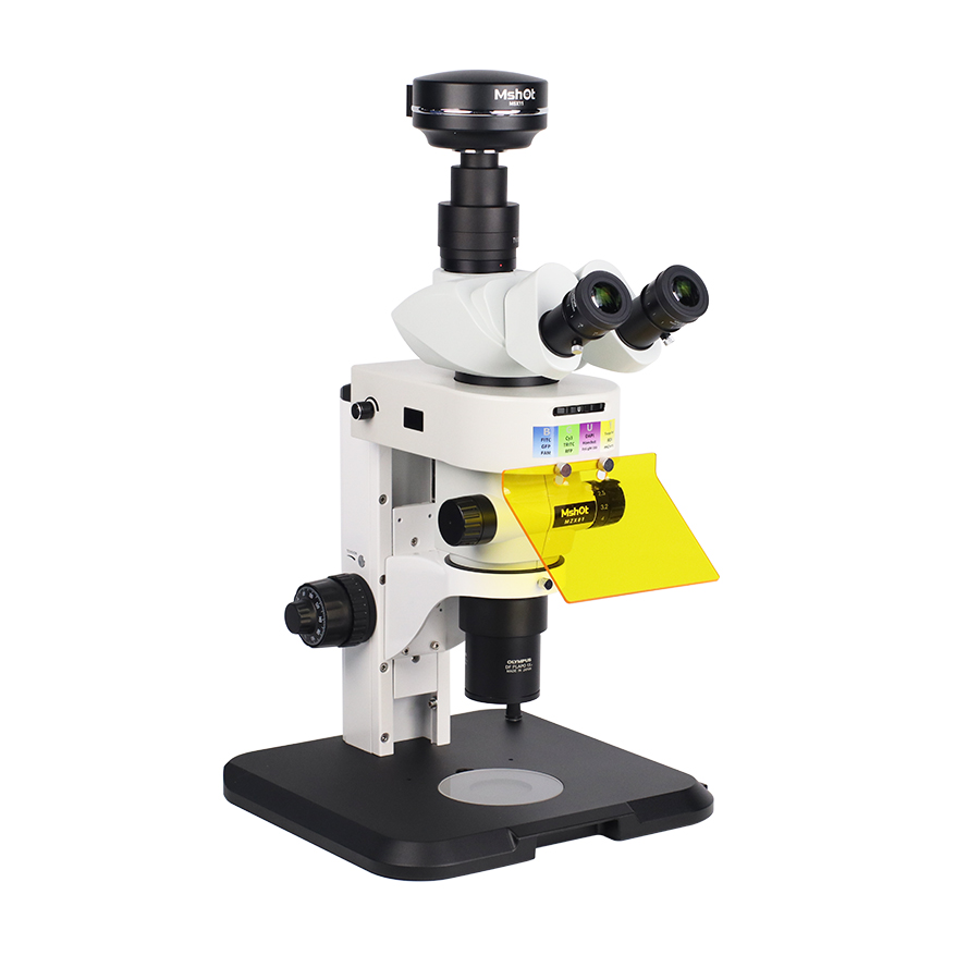 Scientific grade stereo-fluorescence microscope MZX81 - Fluorescence ...