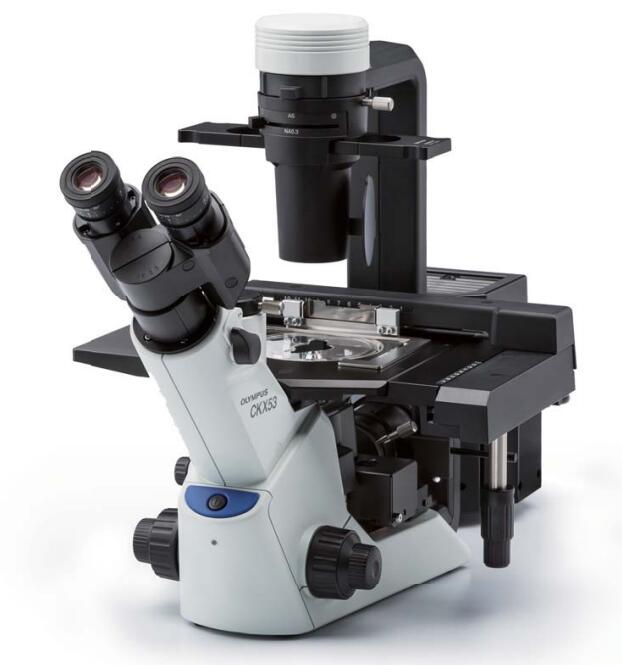 Olympus CKX53 multi-channels fluorescence LED module - Fluorescence and Biological microscopes ...