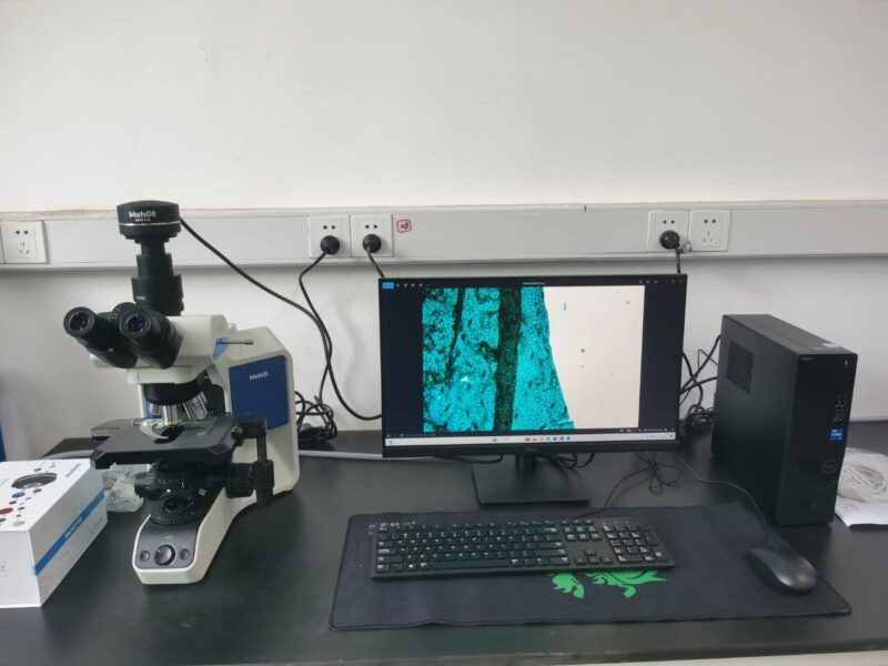 Technical Guide丨Say Goodbye to Blurry Images! - Fluorescence and ...